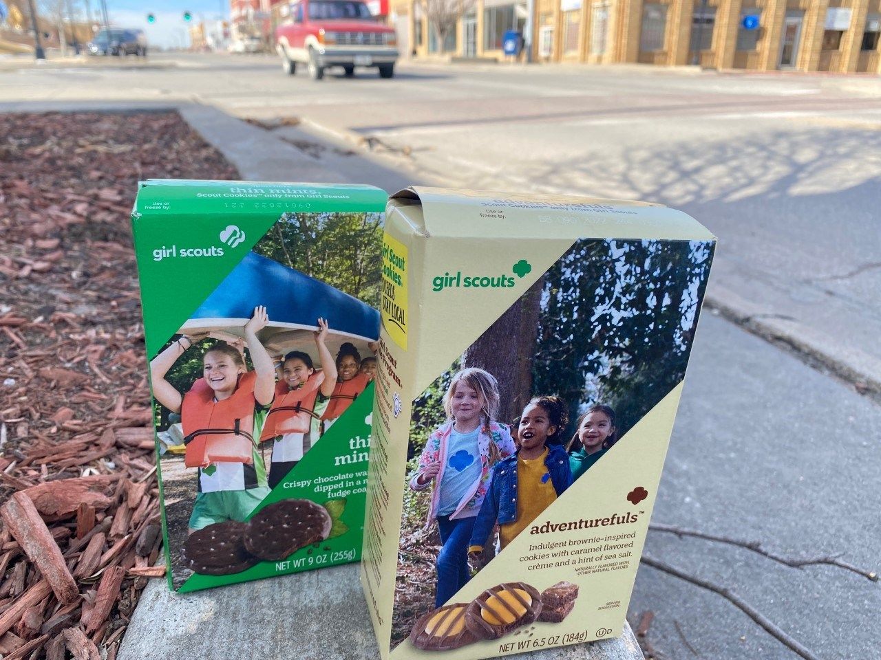 Drive-through cookie booths part of 2022 Girl Scout sales - RIVER ...
