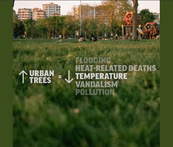 Arbor Day Foundation awarded $50 Million for urban trees - RIVER ...