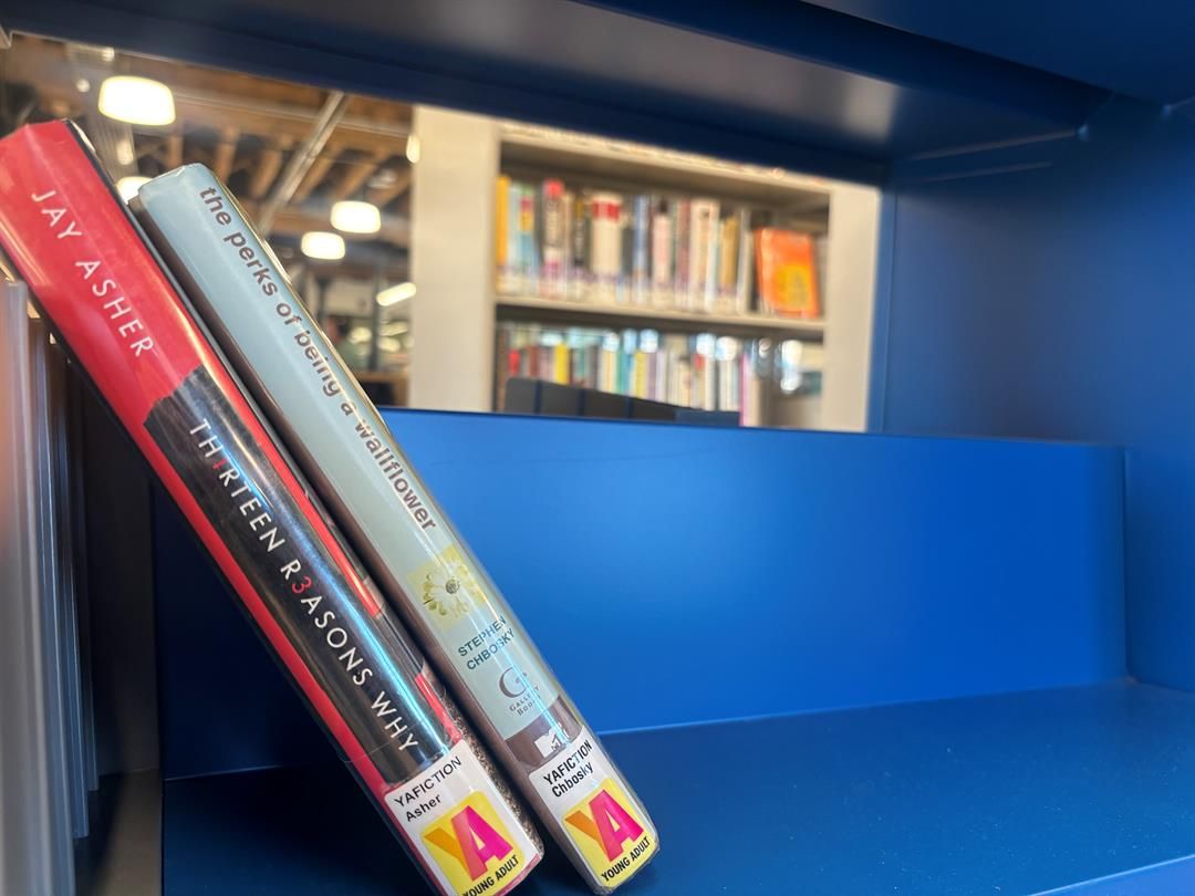 Surge of book removal requests turning Nebraska libraries into cultural ...