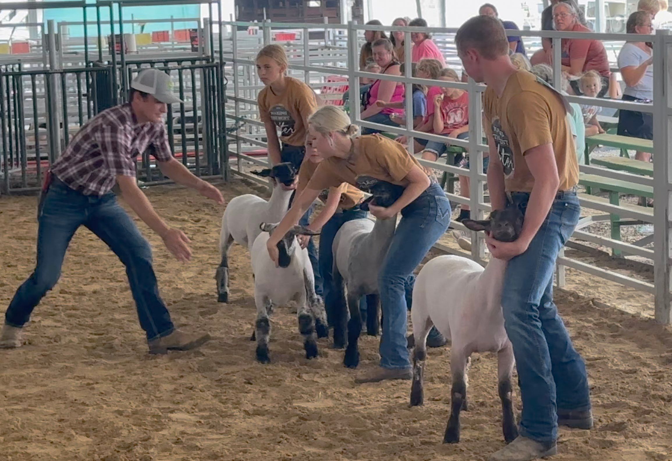 Sheep show revival in Richardson County - RIVER COUNTRY - NEWS CHANNEL ...