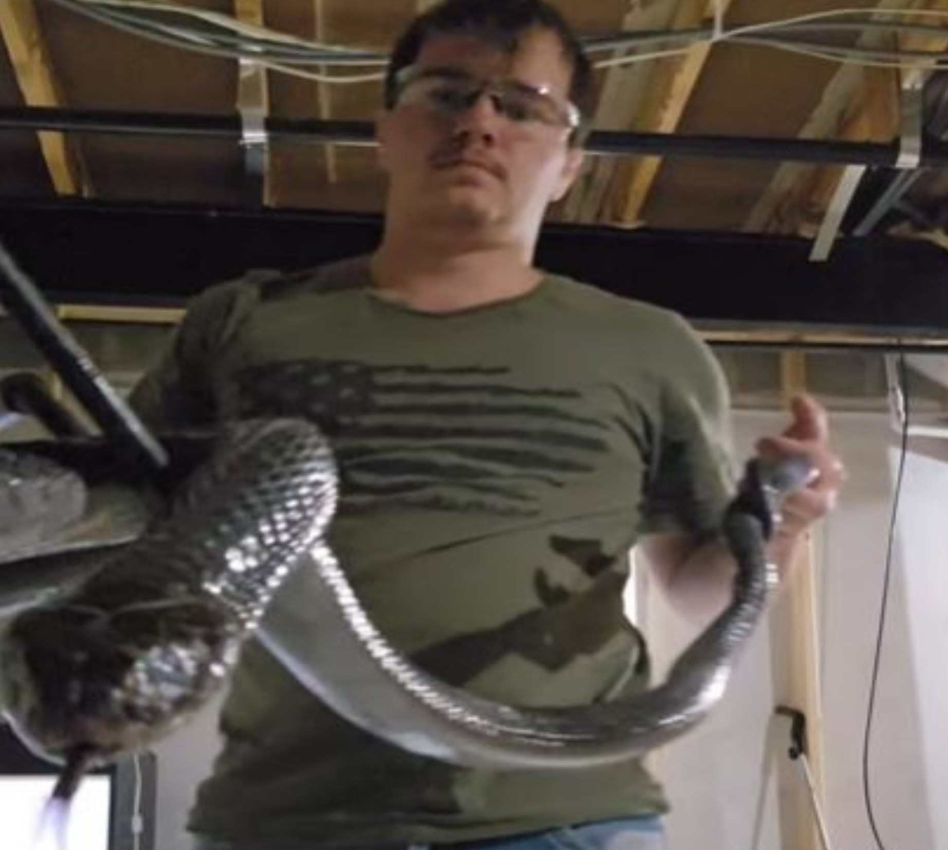 Nebraska City police seize venomous reptiles - METRO - NEWS CHANNEL ...