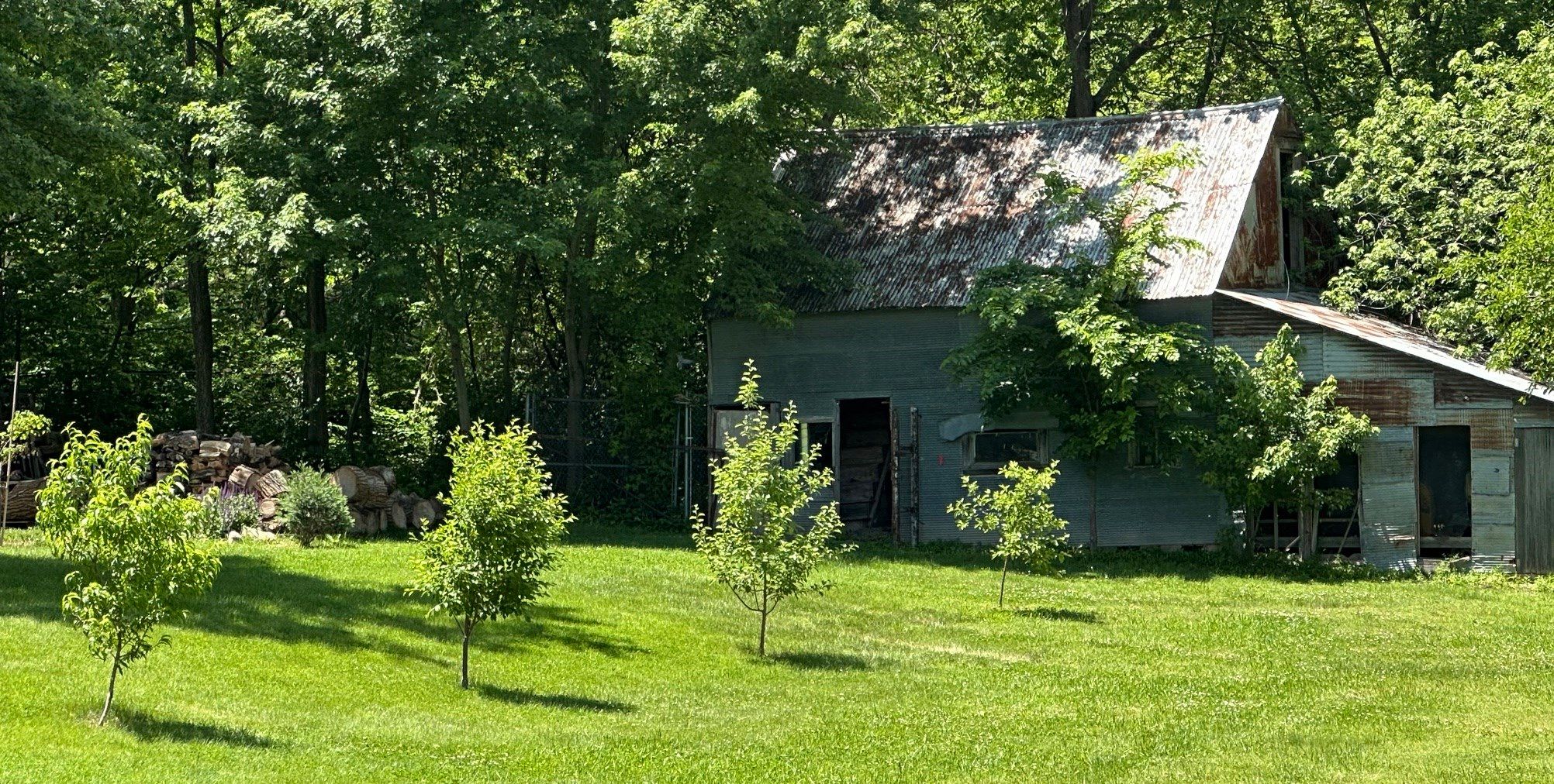 Auburn introduces backyard chicken rules - RIVER COUNTRY - NEWS CHANNEL ...