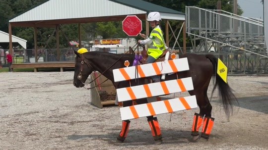 'Construction horse' ready to direct traffic - RIVER COUNTRY - NEWS ...